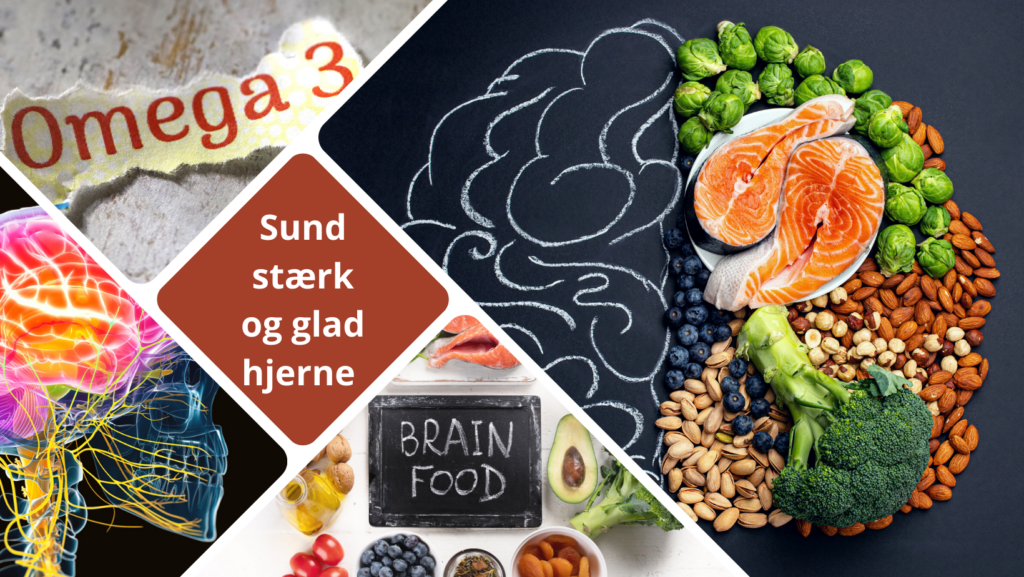 H - Helhedshuset på Taasinge, Svendborg Fyn H